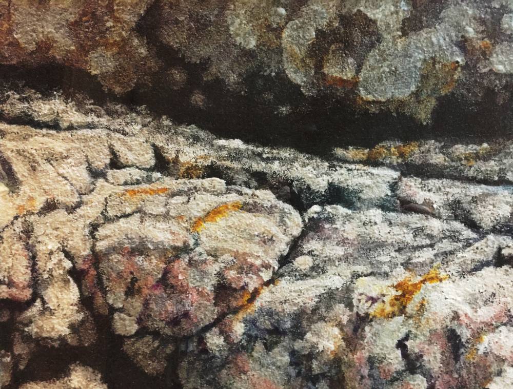 Rachel Kerr – Dublin Painting and Sketching Club